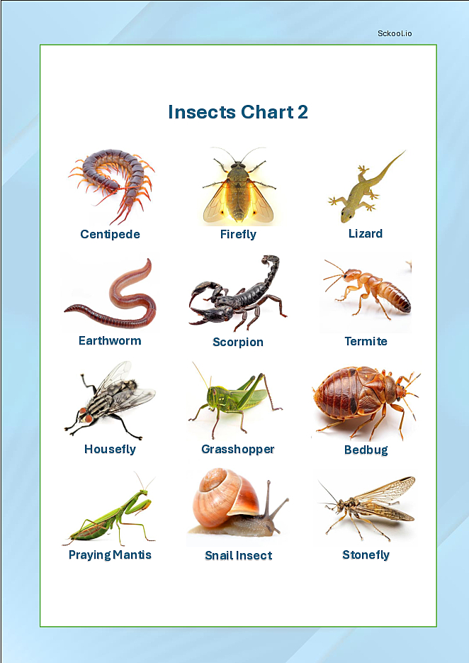 Insects Chart 2