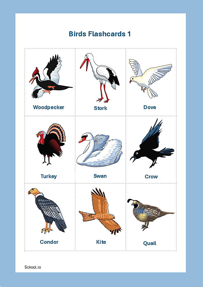 Birds Flashcards 1 Montessori Posters Classroom Decor Digital Download ...