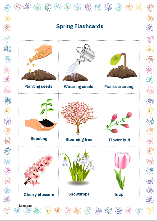 Spring Flashcards